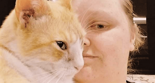 Therapy Cats Make a World of Difference